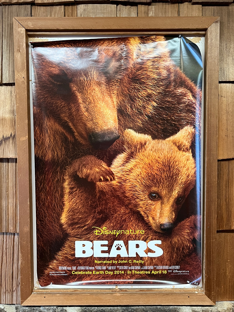 Bears (2014) – Shannon Theatre