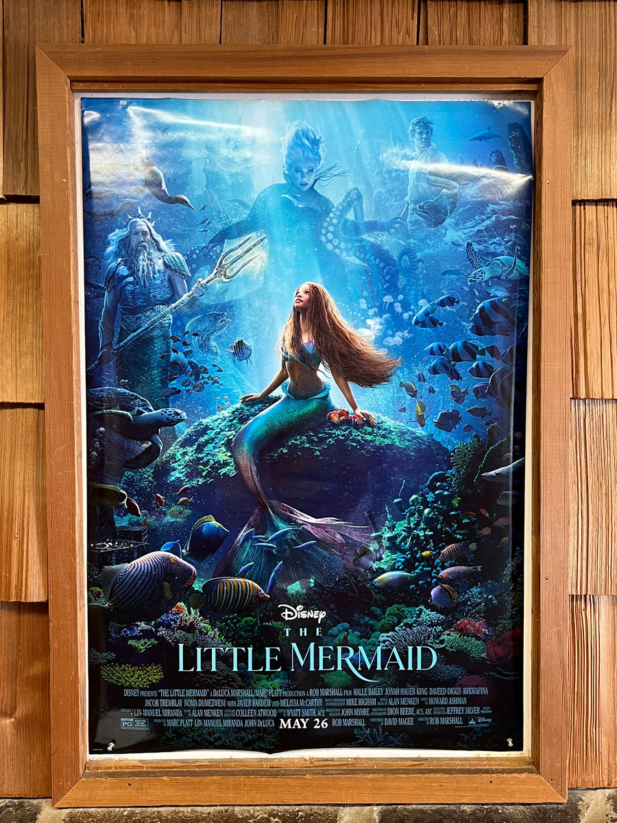 Little Mermaid, The (2023) – Shannon Theatre