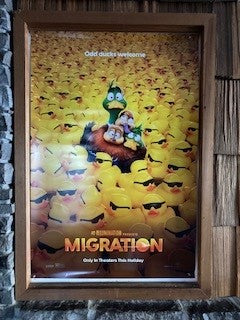 Migration (2023) – Shannon Theatre