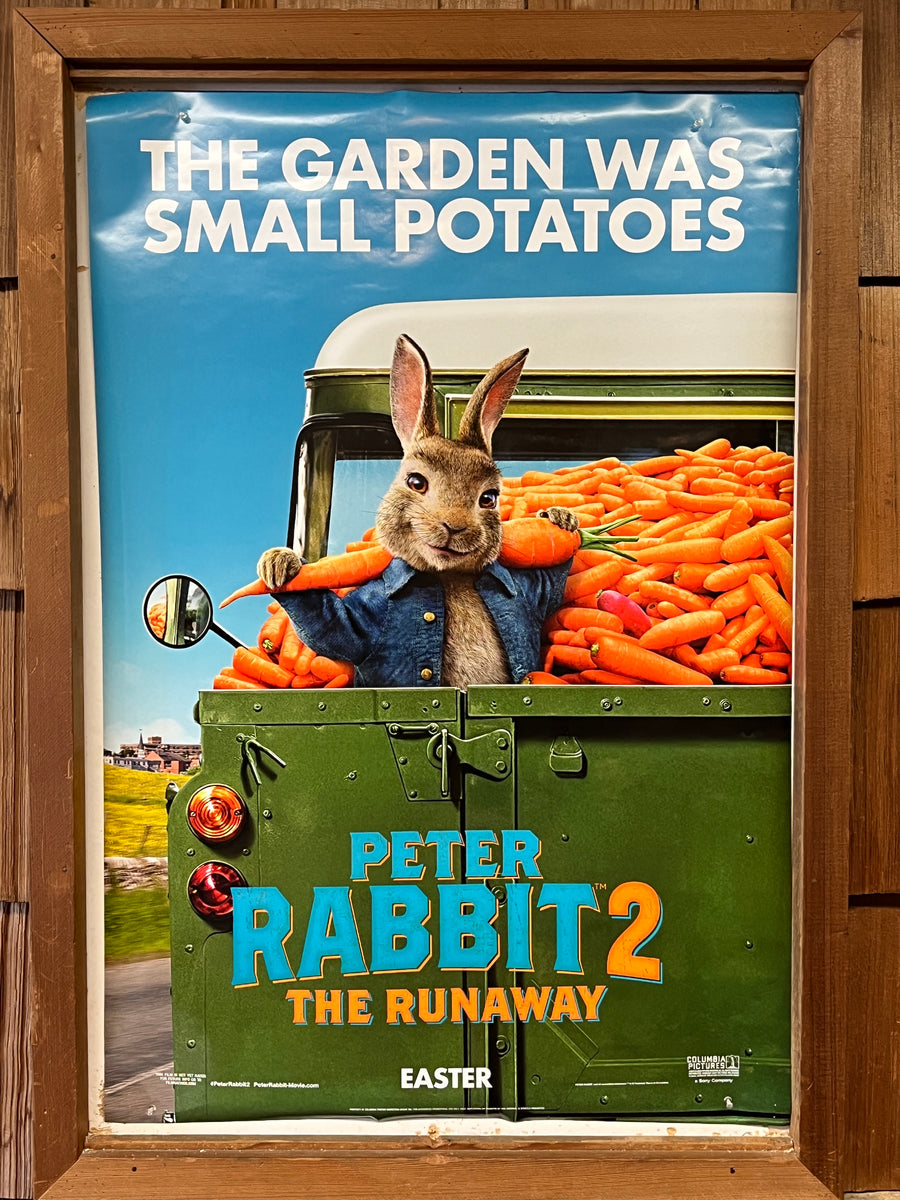 Peter Rabbit 2: The Runaway (2021) – Shannon Theatre
